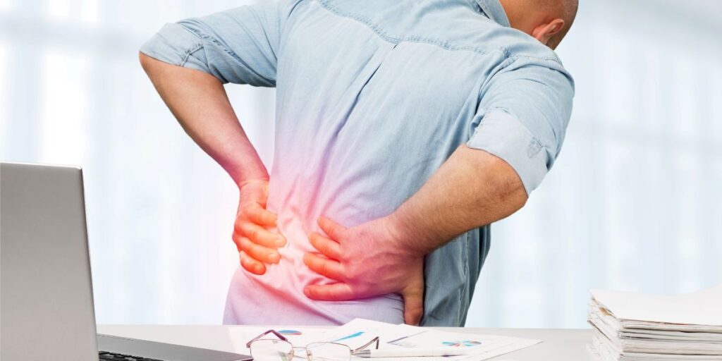 A Guide to Alleviating Low Back Pain - Chiropractic Correction - Human ...